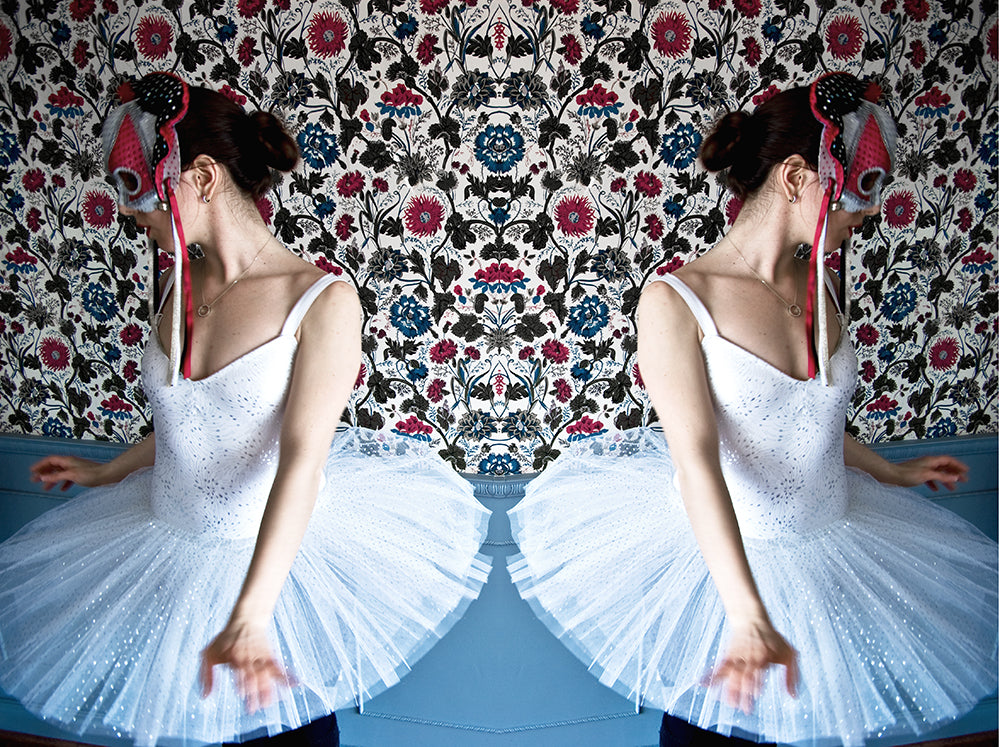Prima Ballerina Series (1) – JKatchutas Shop